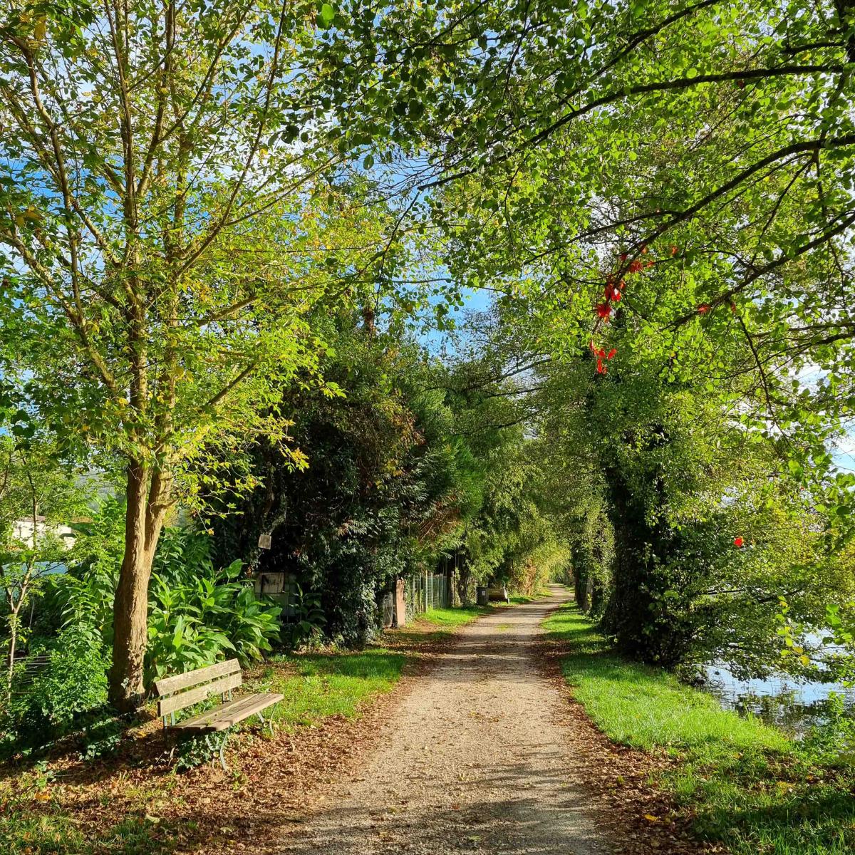 Balade au bord du Lot à Cajarc | Figeac Tourisme, Vallées du Lot et du Célé