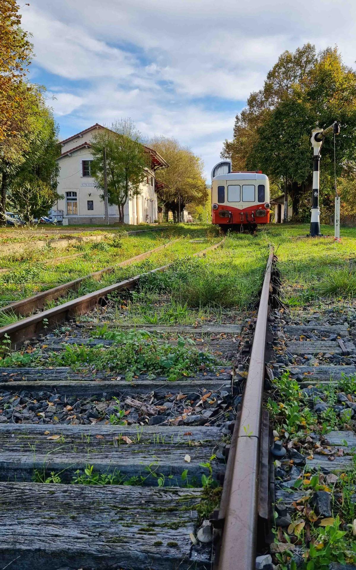 Balade au bord du Lot à Cajarc | Figeac Tourisme, Vallées du Lot et du Célé